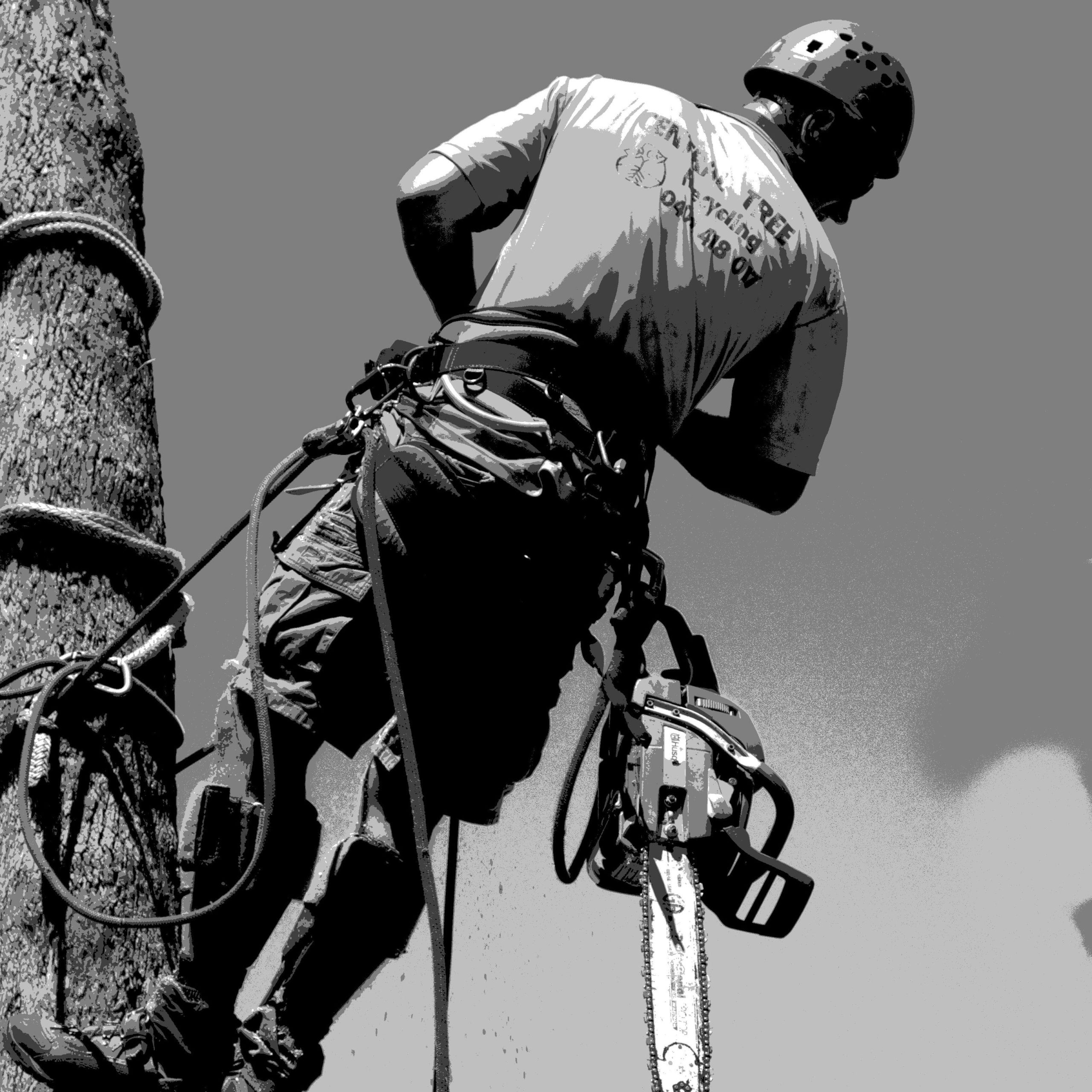 Careers - T&G Tree Services